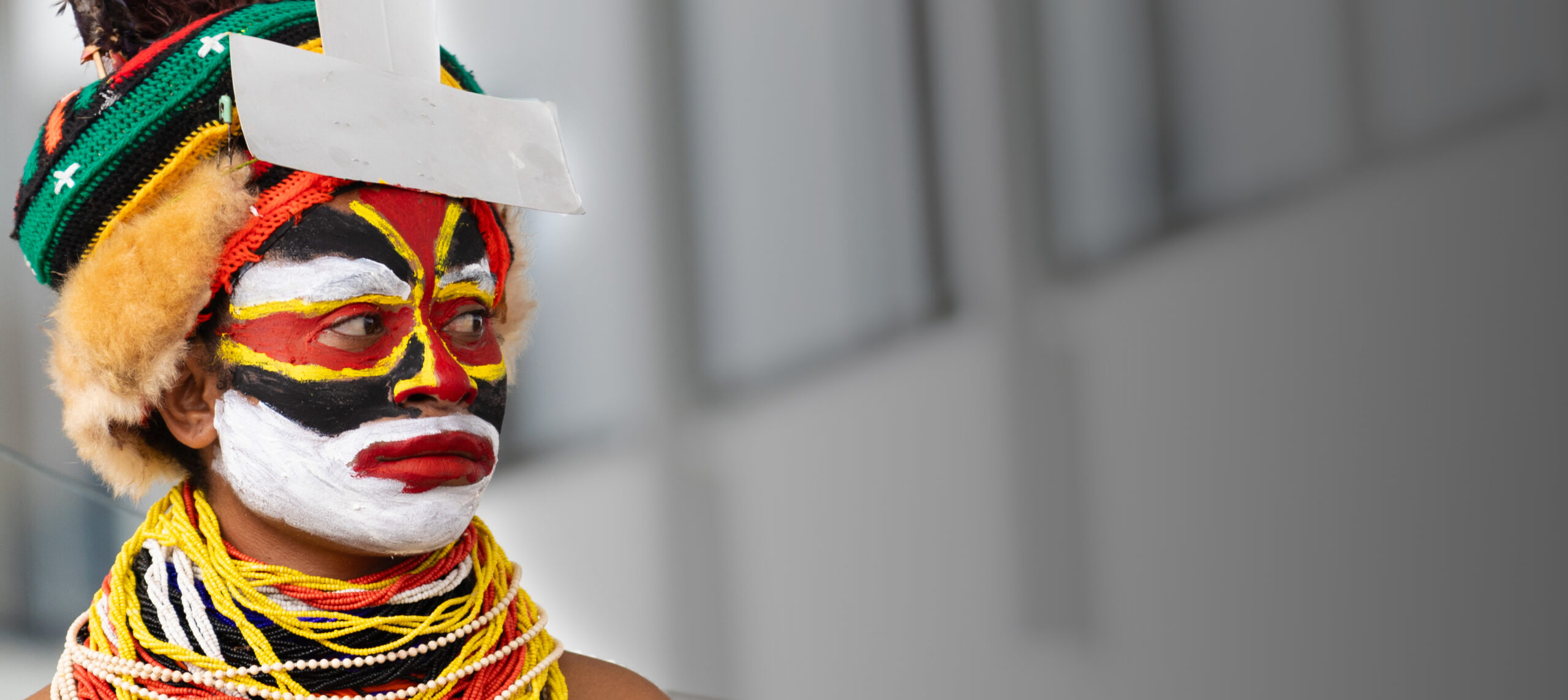 Contact Us - PNG National Information Centre